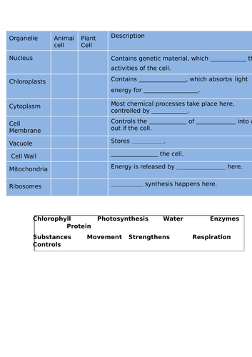 KS3 lesson on plant cells | Teaching Resources