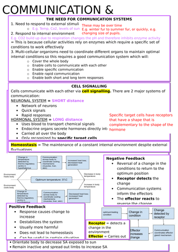 A Level OCR Biology A : Communication & Homeostasis | Teaching Resources