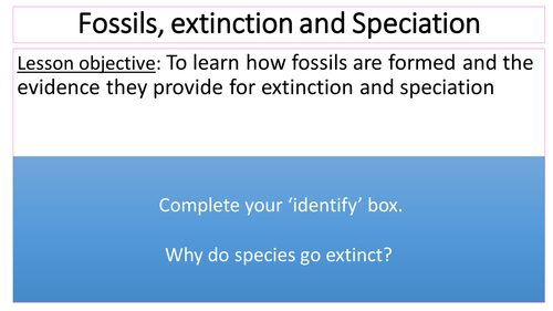 fossils extinction and speciation | Teaching Resources