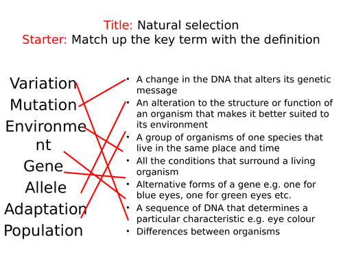 Natural Selection Powerpoint | Teaching Resources