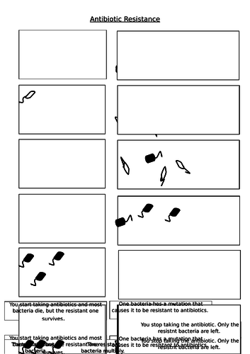 Antibiotic Resistance Flow Diagram | Teaching Resources
