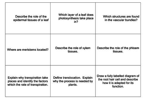 Jane Wells's Shop - Teaching Resources - TES