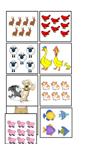 Counting by Animals Bundle | Teaching Resources