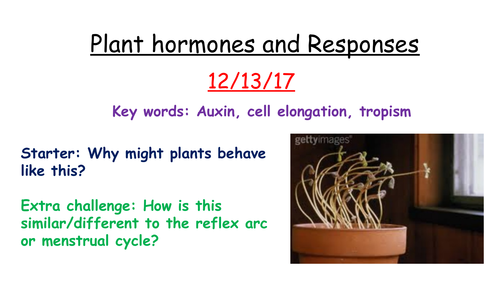 Plant Hormones | Teaching Resources