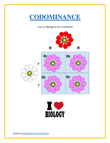 Primary Teaching Resources: Activities for KS1 and KS2 | Tes