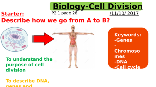 AQA GCSE (9 – 1) Biology Unit B2.1 | Teaching Resources
