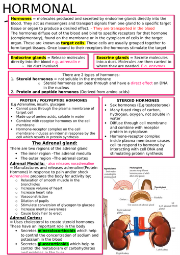 A Level Biology OCR: Hormonal Communication | Teaching Resources