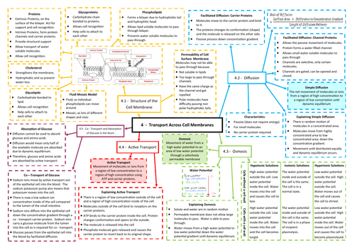 Transport Across Cell Membranes Revision Mind Map - AQA AS/A Level Biology (7401/7402) by ...