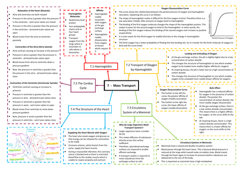 Mass Transport Revision Mind Map - AQA AS/A Level Biology (7401/7402 ...