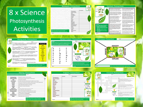 8 x Photosynthesis Starter Activities Keywords Wordsearch Crossword ...
