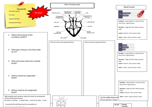 The heart | Teaching Resources