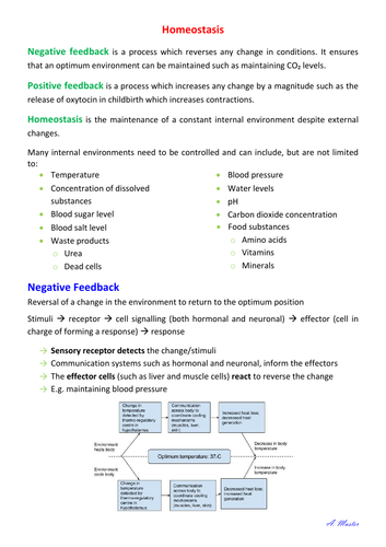 Homeostasis Notes | Teaching Resources