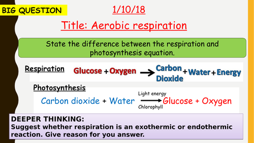 AQA new specification-Aerobic respiration-B9.1 | Teaching Resources