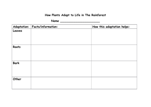 Tropical rainforests: plant adaptations worksheet | Teaching Resources