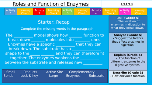AQA (9-1) GCSE - Roles and Functions of Enzymes (Organisation ...
