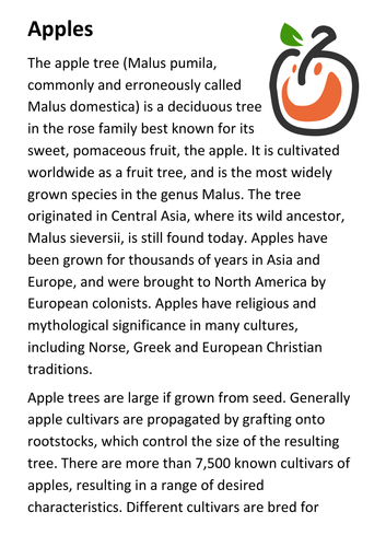Apples Handout | Teaching Resources