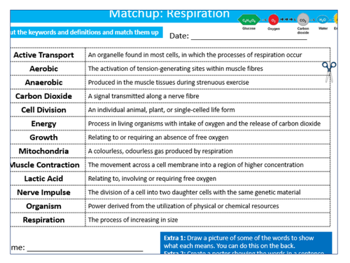 Respiration Matchup Definitions Sheet Keywords KS3 Settler Starter ...