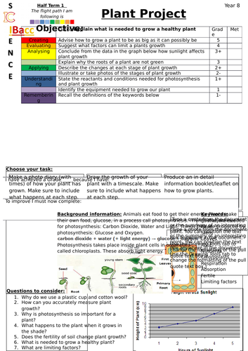 Plant project KS3 and KS4 | Teaching Resources