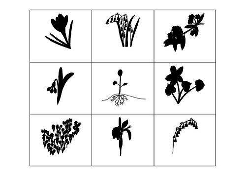 Spring Silhouette Carousel | Teaching Resources