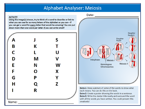 Meiosis Alphabet Analyser Sheet Keywords Settler Starter Cover Lesson ...