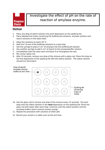 Enzymes Required Practical Starter (skills) | Teaching Resources