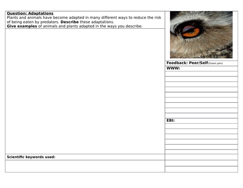Structuring Feedback on Adaptations | Teaching Resources