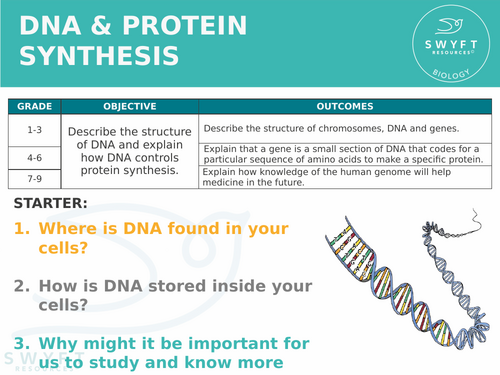 NEW AQA GCSE Trilogy (2016) Biology - DNA & Protein Synthesis ...