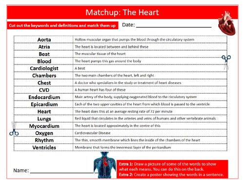 The Heart Definition Matchup Sheet Keywords Settler Starter Cover ...