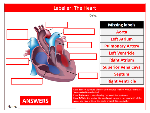 The Heart Label Match Sheet Keywords Settler Starter Cover Lesson ...