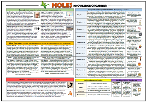 Holes Knowledge Organiser/ Revision Mat! | Teaching Resources