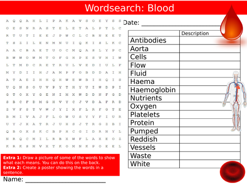 Blood Wordsearch Puzzle Sheet Keywords Settler Starter Cover Lesson ...