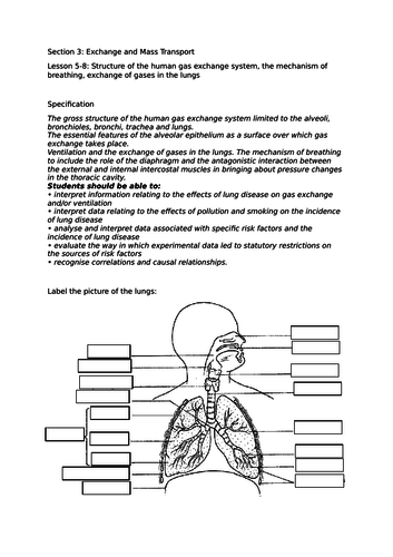 AQA AS Biology Lungs and Gas Exchange booklet | Teaching Resources