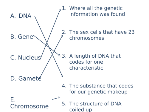 Types of reproduction | Teaching Resources