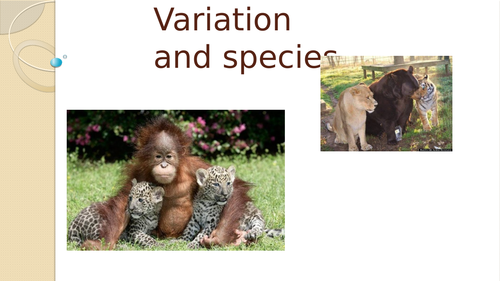 Variation and Species | Teaching Resources