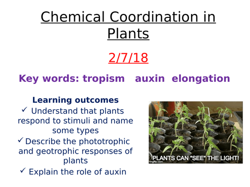 Chemical coordination in plants - auxin and tropisms | Teaching Resources