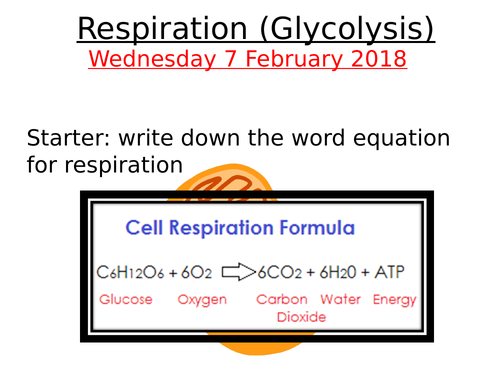 A2 Biology: Glycolysis, Link Reaction and Krebs Cycle Overview ...