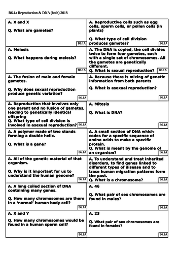 Revision card sorts for AQA 9-1 GCSE Biology / Combined – B6.1 - DNA ...