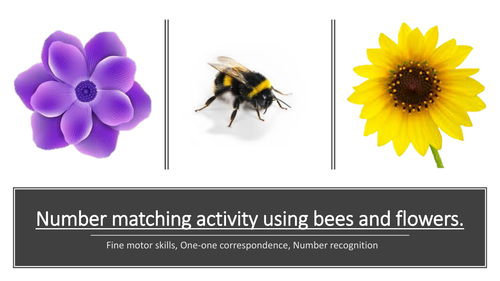 Bee and number matching. EYFS. Number recognition, one-one ...