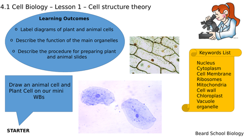 New AQA 9-1 GCSE Combined Science Biology - Cells Lesson 1 | Teaching ...