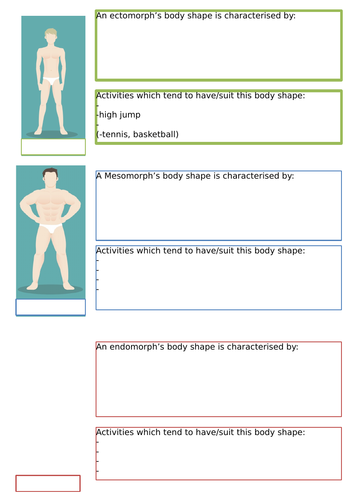 GCSE Somatotypes | Teaching Resources