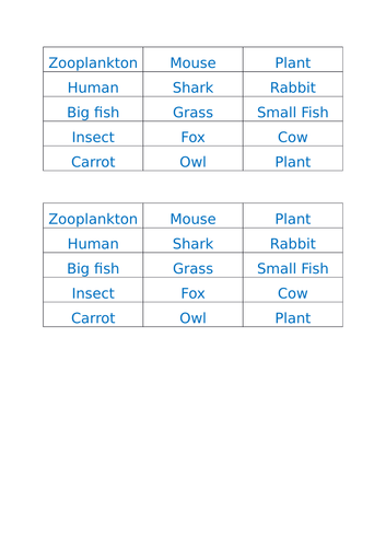 Food Chain Sort | Teaching Resources