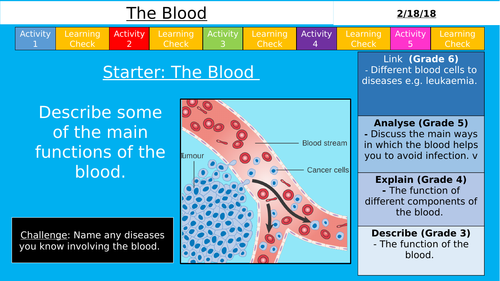 NEW AQA (9-1) GCSE - The Blood (Organisation) | Teaching Resources