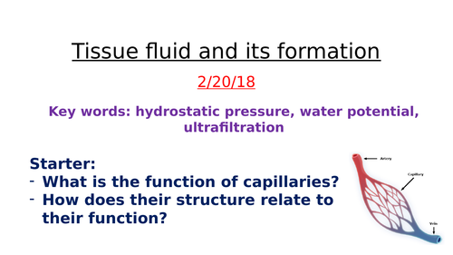 Tissue fluid formation AQA Biology A level | Teaching Resources