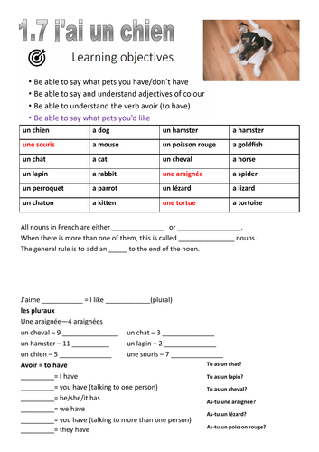 French 1.7 - j'ai un chien (pdf format) | Teaching Resources
