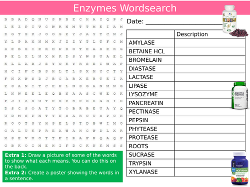 Enzymes Names Wordsearch Puzzle Sheet Keywords Settler Starter Cover ...