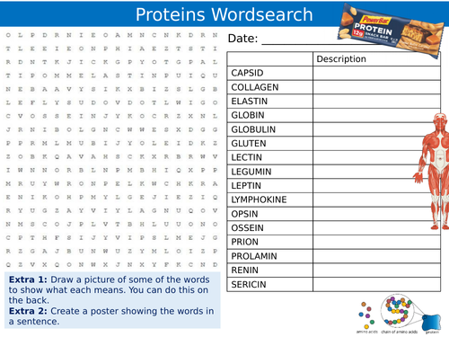 Proteins Wordsearch Puzzle Keywords Settler Starter Cover Lesson ...
