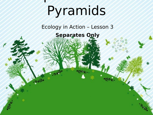 Trophic Levels and Pyramids - Ecology Lesson 3 - GCSE AQA 9-1 Science ...
