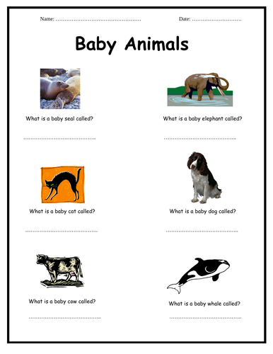 Baby and Adult Animals | Teaching Resources