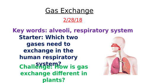 Gas exchange KS3 | Teaching Resources