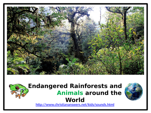 Endangered Rainforests and Animals - Unit of Work | Teaching Resources